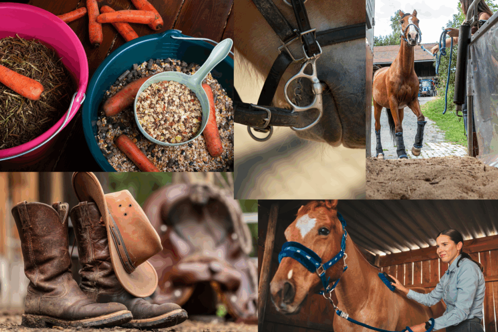 Fomites - Disease Spreader Super Highways - Green Horse Brands